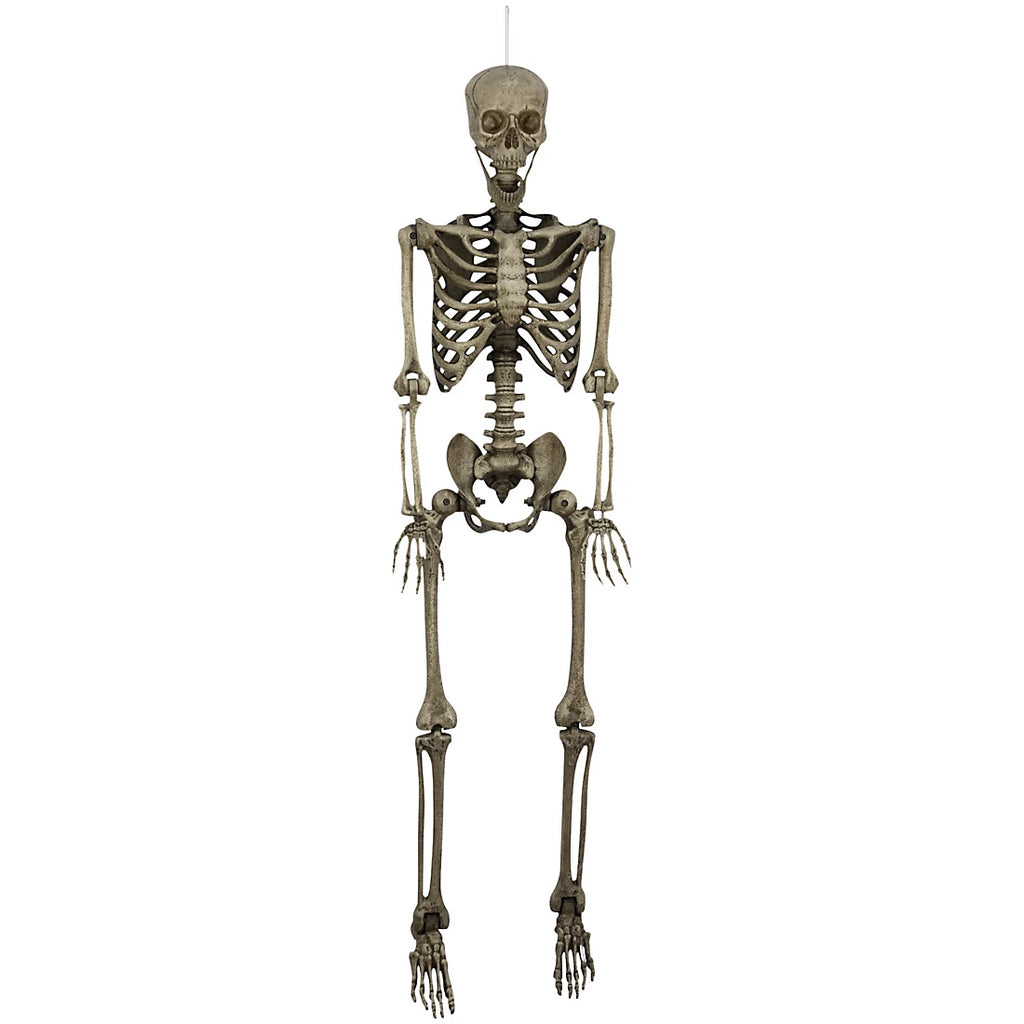 Berkley Jensen 5' Poseable Skeleton– Brands For Less USA