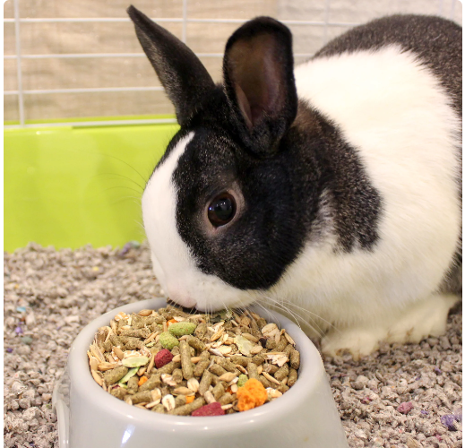 MENU Premium Rabbit Food - Timothy Hay Pellets Blend, Vitamin & Minera ...