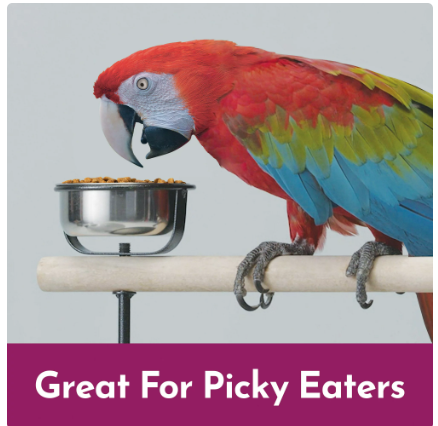 Kaytee Nutri Soft Macaw & Cockatoo Pet Bird Food, 3 lb.– Brands For ...