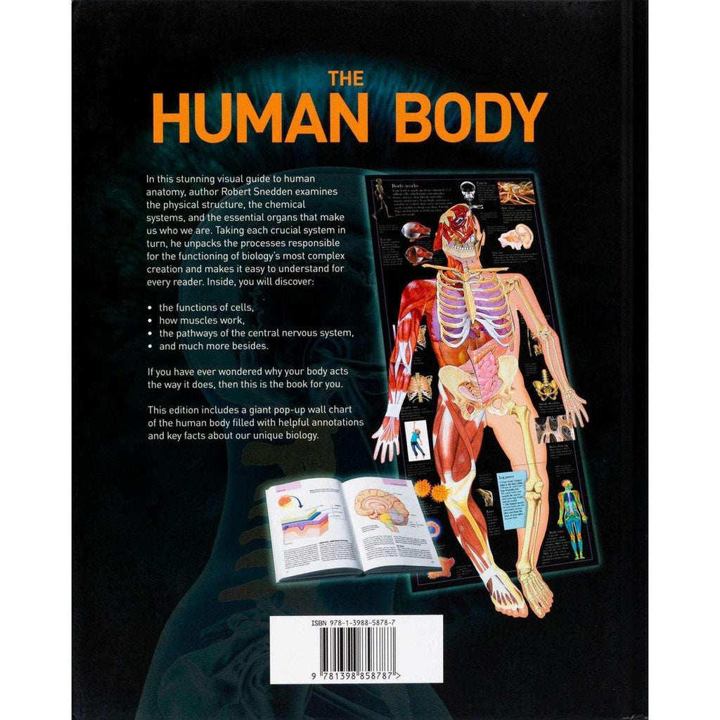 The Human Body, Hardcover– Brands For Less USA